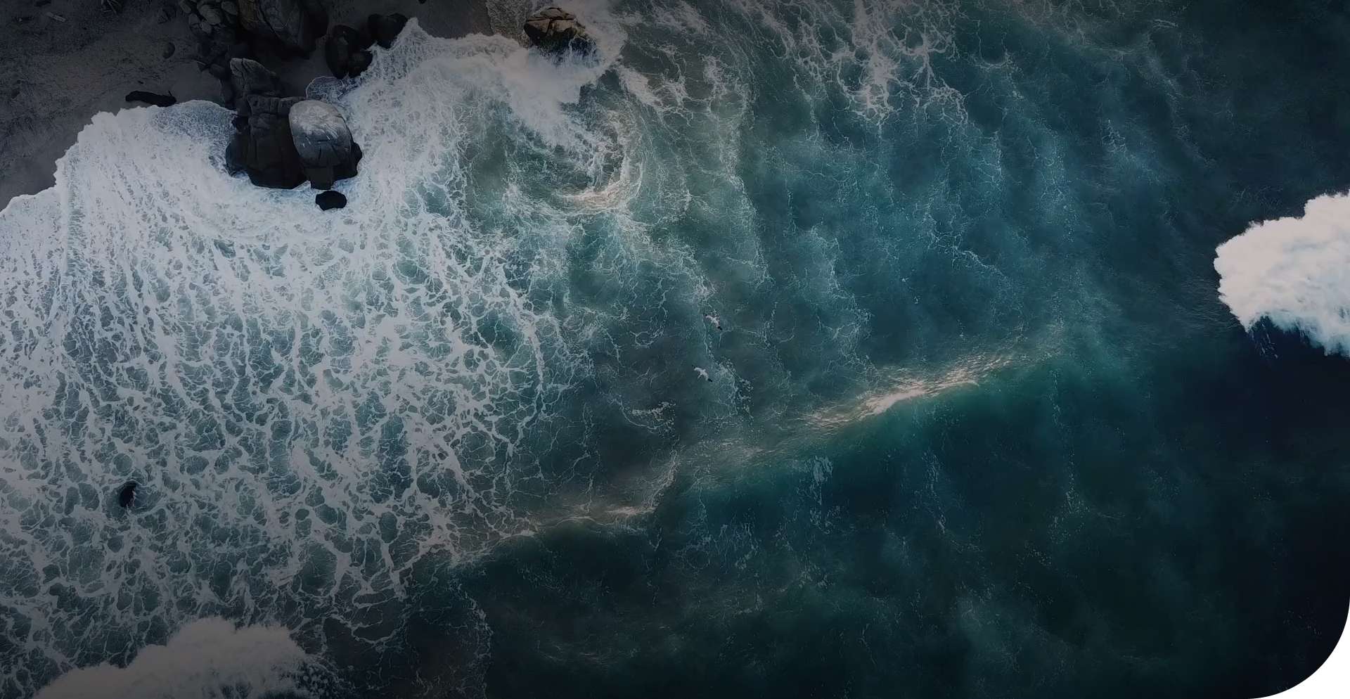 Dive | Intelligences created by and for humans